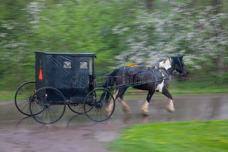 1,473 Amish Buggy Stock Photos - Free & Royalty-Free Stock Photos from ...