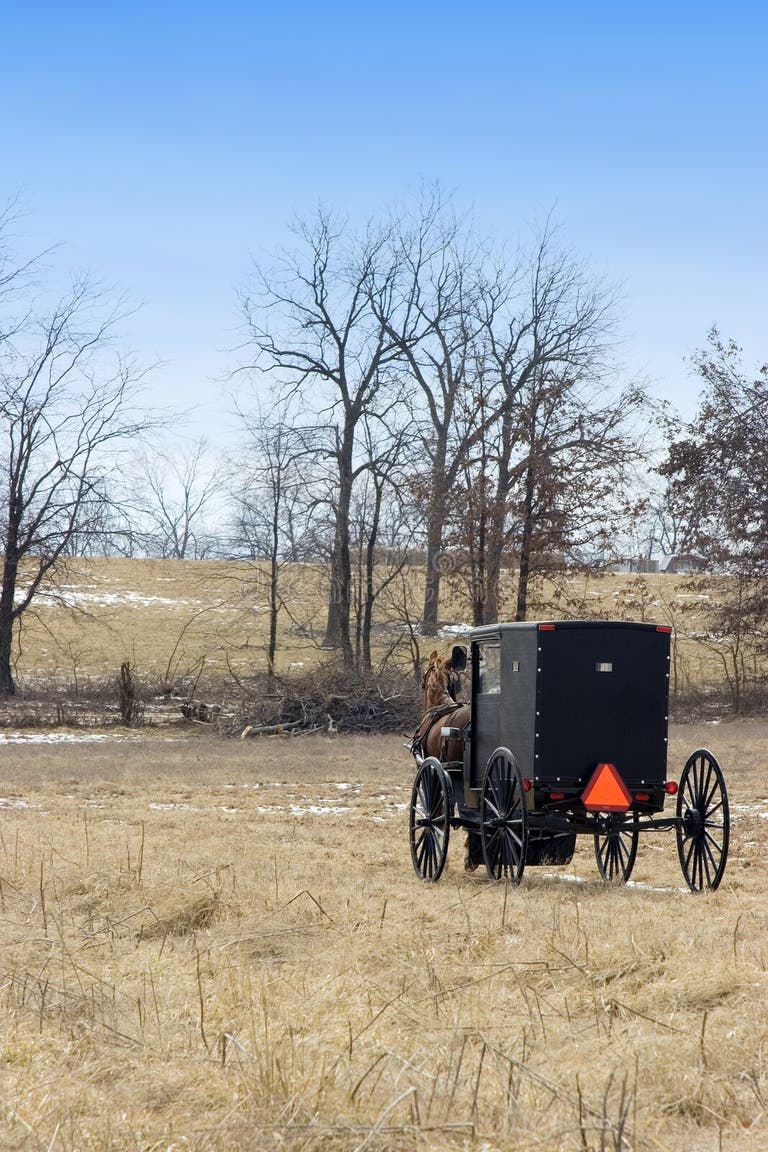1,473 Amish Buggy Stock Photos - Free & Royalty-Free Stock Photos from ...