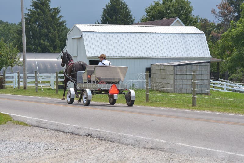 Amish Man Driving Wagon editorial photography. Image of mane - 43857122
