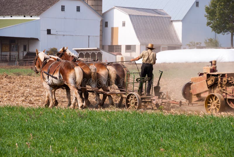 Amish Man stock image. Image of amish, brim, bible, holding - 2828947