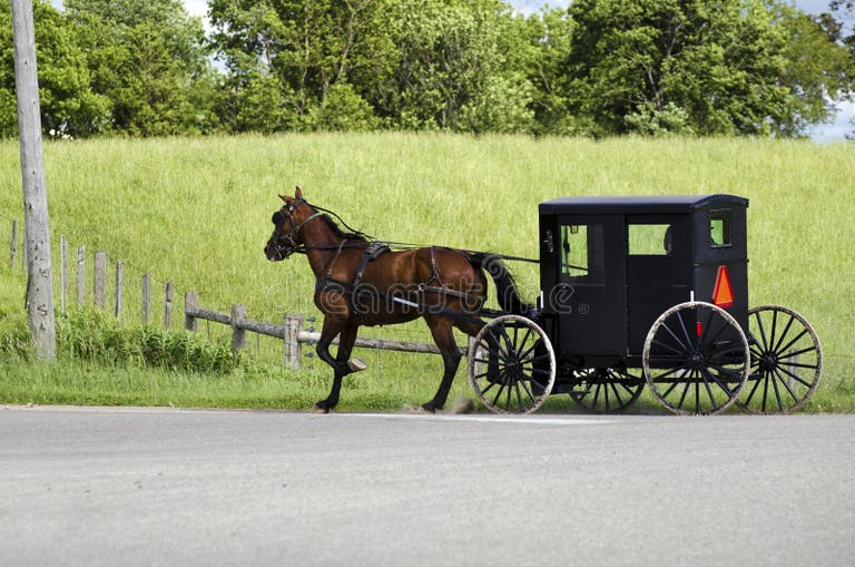 1,584 Amish Buggy Stock Photos - Free & Royalty-Free Stock Photos from ...