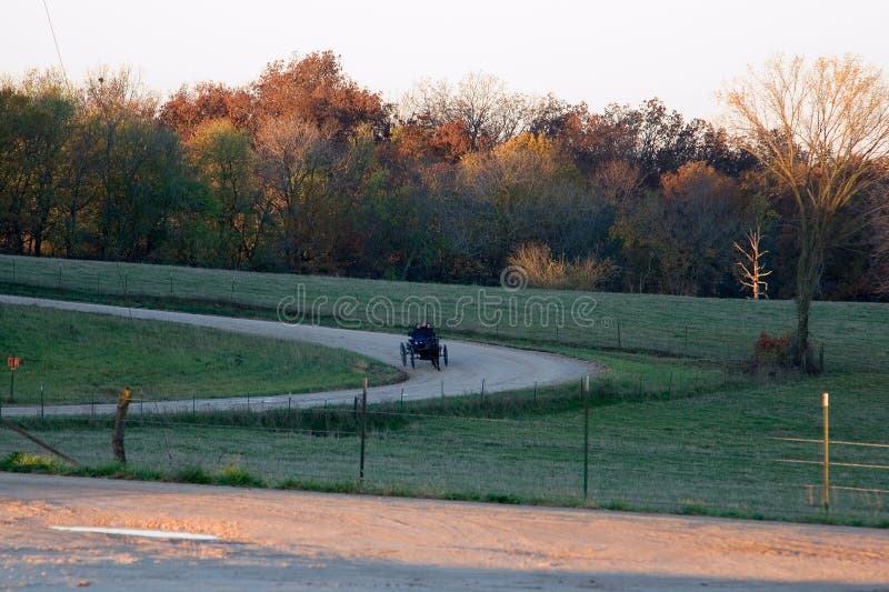 Amish morning stock photo. Image of amish, animal, buggies - 1441646
