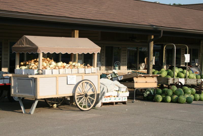 Amish Farm stock photo. Image of farm, bydlo, amish, farms - 13350652