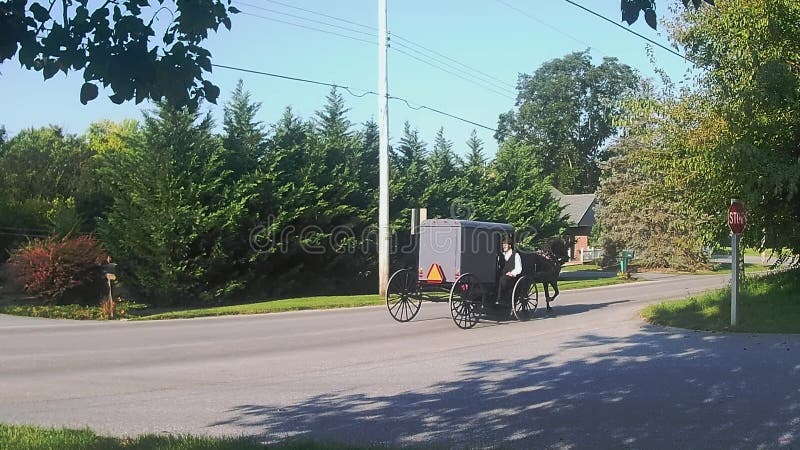 Amish Transportation Type Buggy Extra Passenger Stock Footage - Video ...