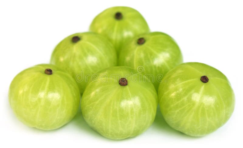 Amla fruits stock image. Image of asia, bangladesh, diet - 28464595