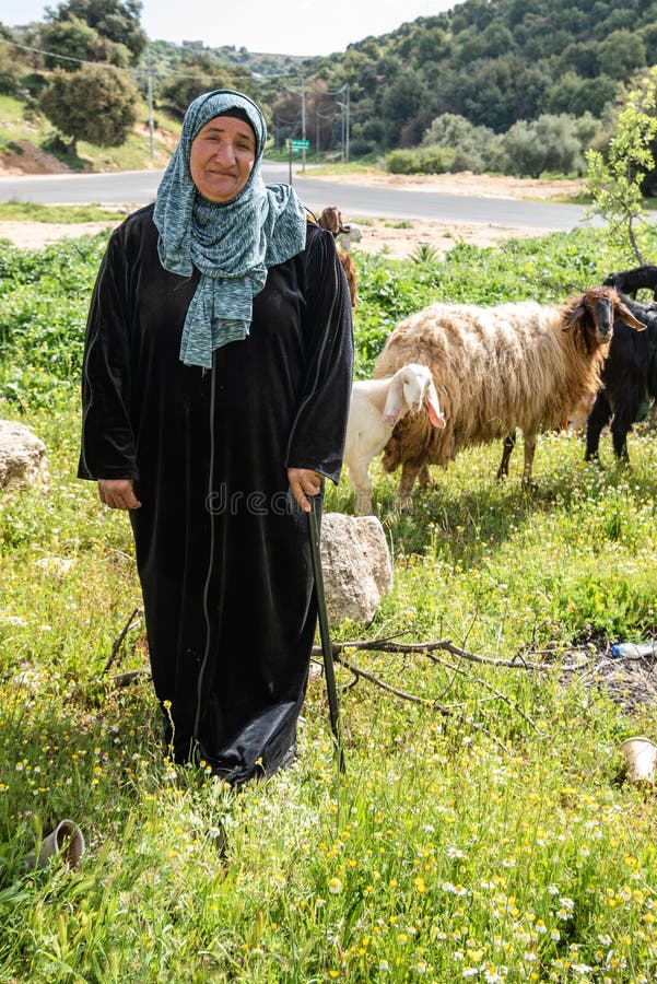 Amman, Jordan - 6 April 2023 : Shepherd with Her Stick Editorial Photo ...
