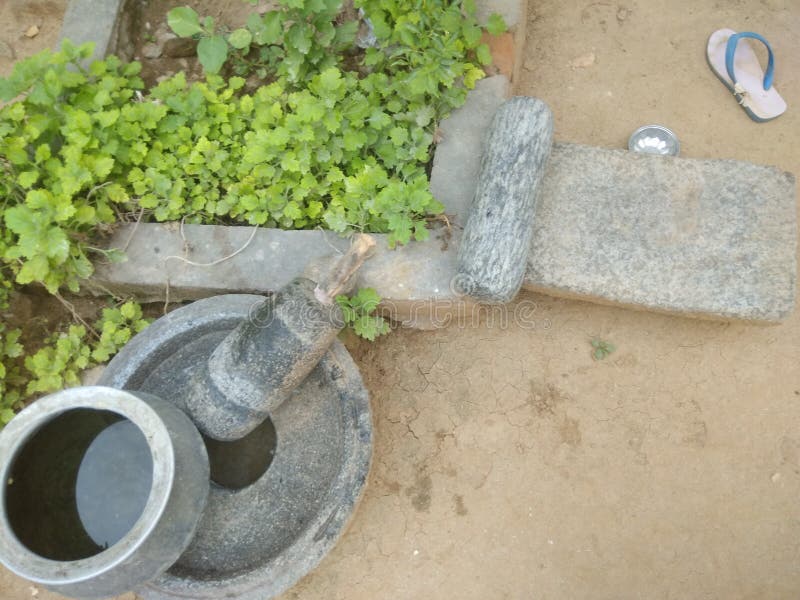 Ammi stone stock image. Image of ammi, beautiful, stone - 94088321