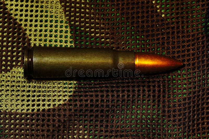 Ammo stock photo. Image of victory, bullet, chicken, warrior - 62974274
