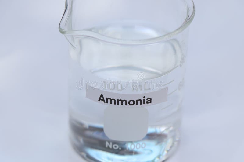 Ammonia in Glass, Chemical in the Laboratory Stock Image - Image of ...