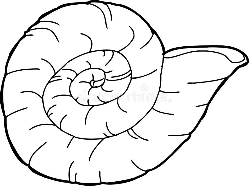 Ammonite Shellfish Fossil stock illustration. Illustration of ...