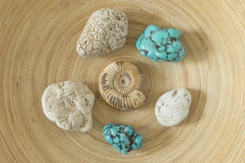 Blue Ammonite Fossils stock photo. Image of shell, fractal - 119445428