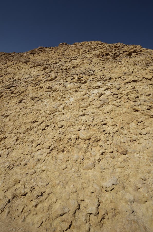 The Ammonite Wall stock photo. Image of desert, petrified - 87369912