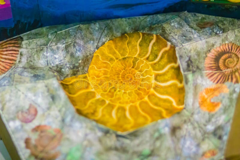 Ammonites are Perhaps the Most Widely Known Fossil. the Earliest Stock ... Ammonites are Perhaps the Most Widely Known Fossil. the Earliest Stock ...