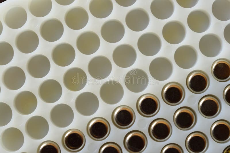 Ammunition Primers in Partially Filled Storage Tray Stock Photo - Image ...