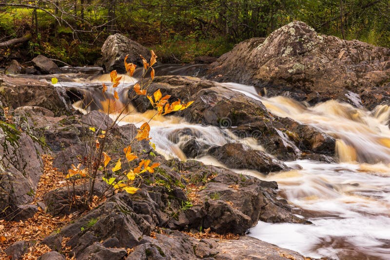 Amnicon River Cascades in Autumn Stock Image - Image of fall, woods: 297871473