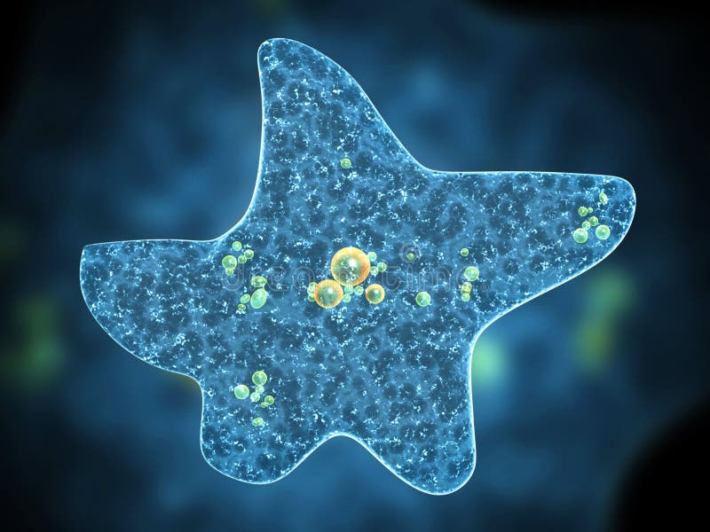 Amoeba Blue Background Render Stock Illustrations – 46 Amoeba Blue ...