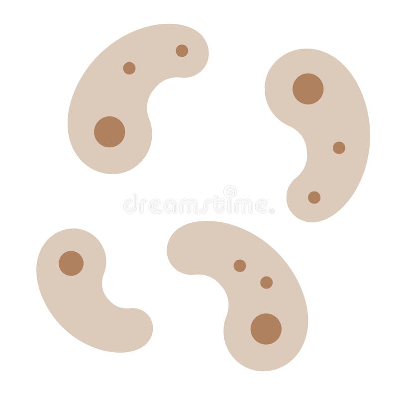 Archaea Stock Illustrations – 294 Archaea Stock Illustrations, Vectors & Clipart - Dreamstime