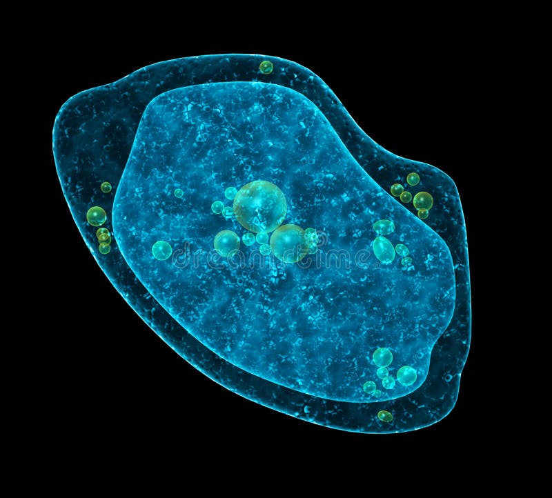 Amoeba Blue Background Render Stock Illustrations – 46 Amoeba Blue ...
