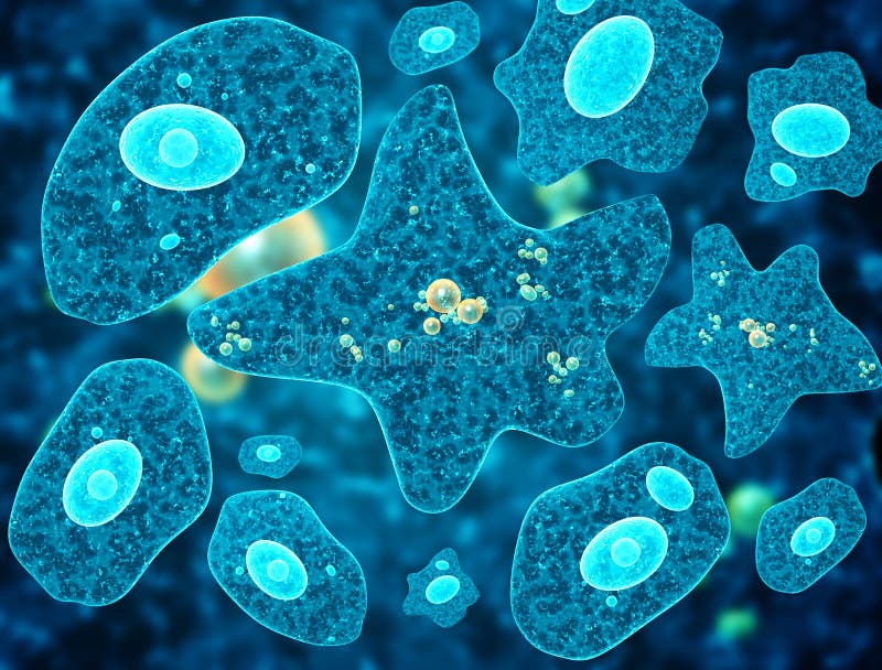 Abstract Protozoa Stock Illustrations – 448 Abstract Protozoa Stock ...