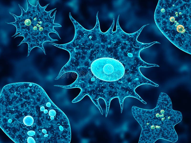 Amoebas on Black Background Stock Illustration - Illustration of macro ...