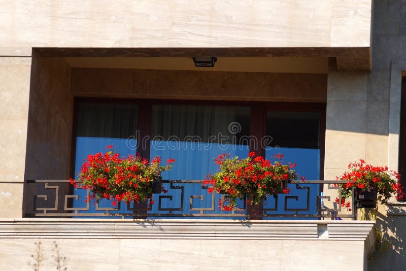 Ampelous Flowers on the Balcony Railing Close-up Stock Image - Image of ...