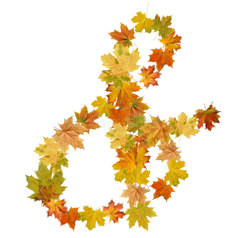 Ampersand of Autumn Maple Leaves Stock Image - Image of flora, leaves ...