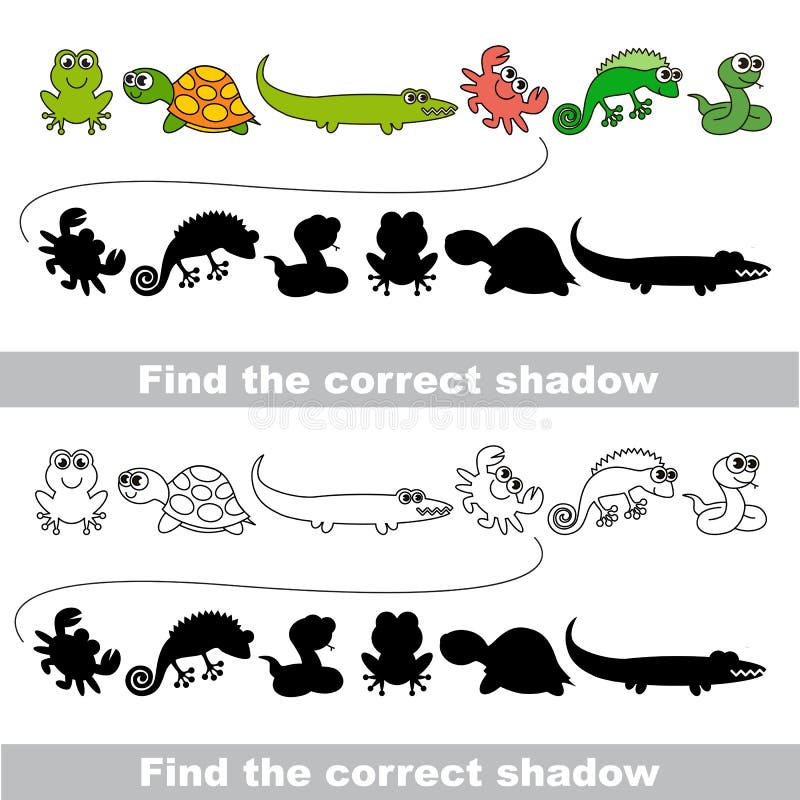 Amphibious Set. Find Correct Shadow. Stock Vector - Illustration of ...