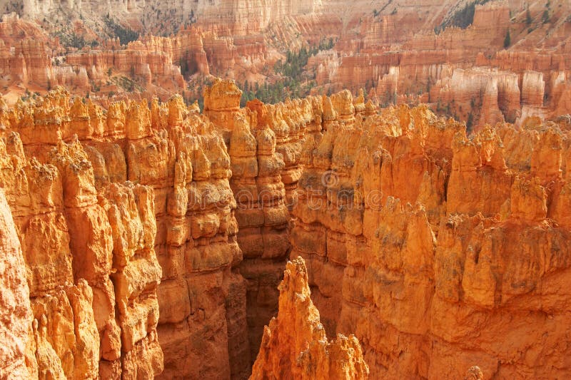 Amphitheater - Bryce Canyon Picture. Image: 1470082