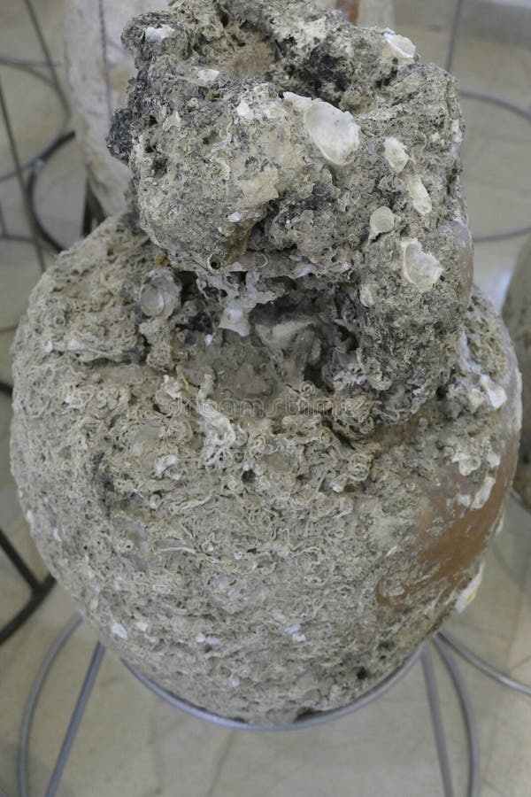 Amphorae from Ancient Shipwrecks Stock Photo - Image of ship, museum ...