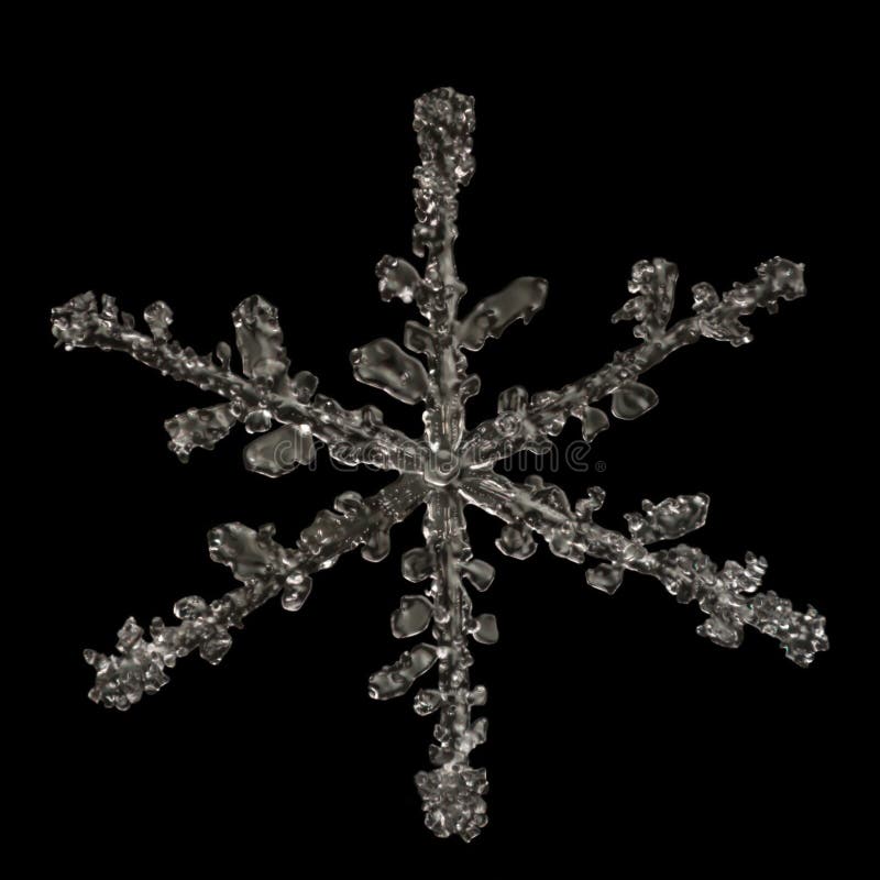 Ampliação Extrema - Floco De Neve Real No Fundo Preto Imagem de Stock ...
