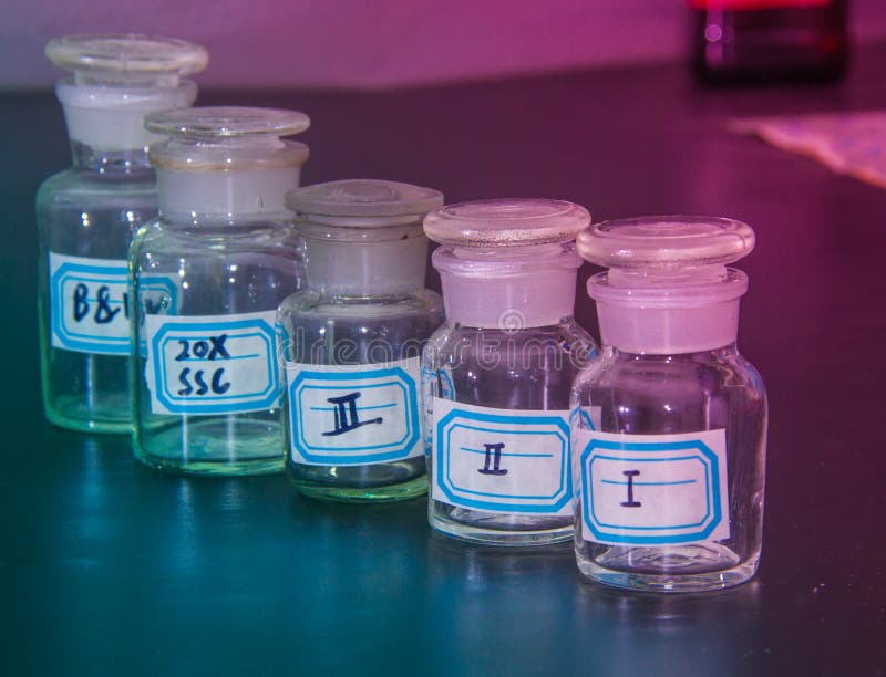 Preliminary Experiment--Boiling Stock Image - Image of experiments ...