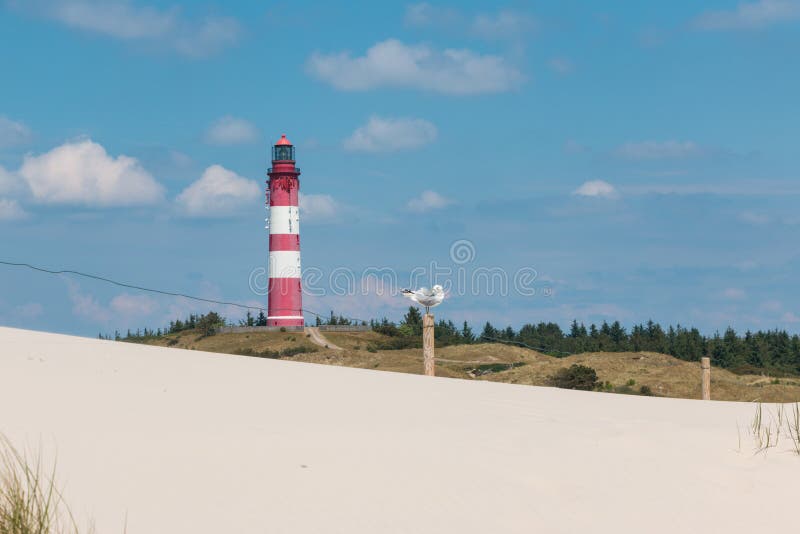 Amrum stock image. Image of light, dune, schleswig, tourist - 119124427