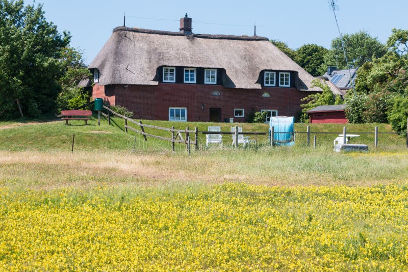 Amrum editorial stock image. Image of germany, schleswig - 119123829