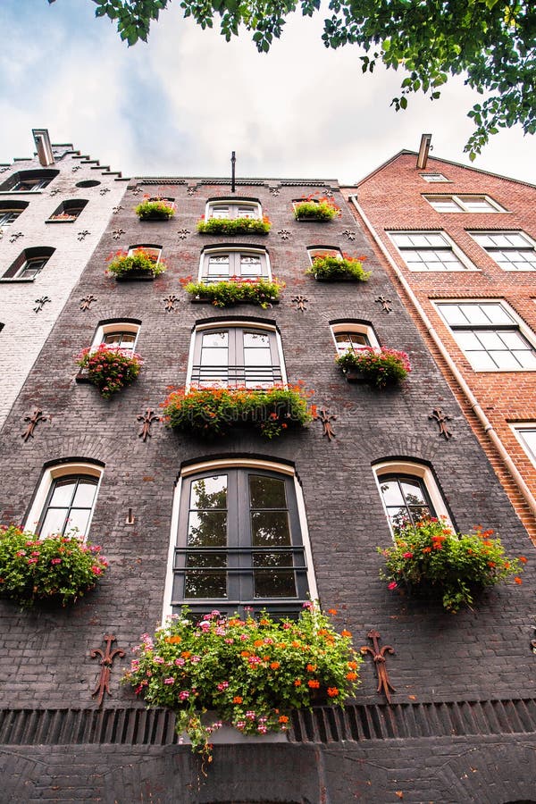 Amsterdam Architecture Building Exterior and Flowers Stock Photo ...