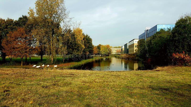 Amsterdam park stock photo. Image of building, fresh - 81015806