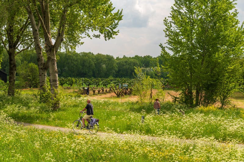 Bankside Scene at the Sluis Norde on the Amsterdam-Rhine Canal ...