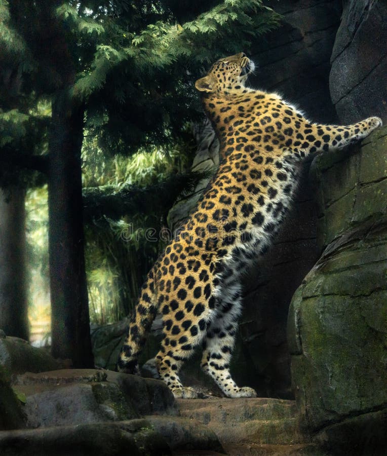 Stretch stock photo. Image of rocks, stretch, stretching - 207972568