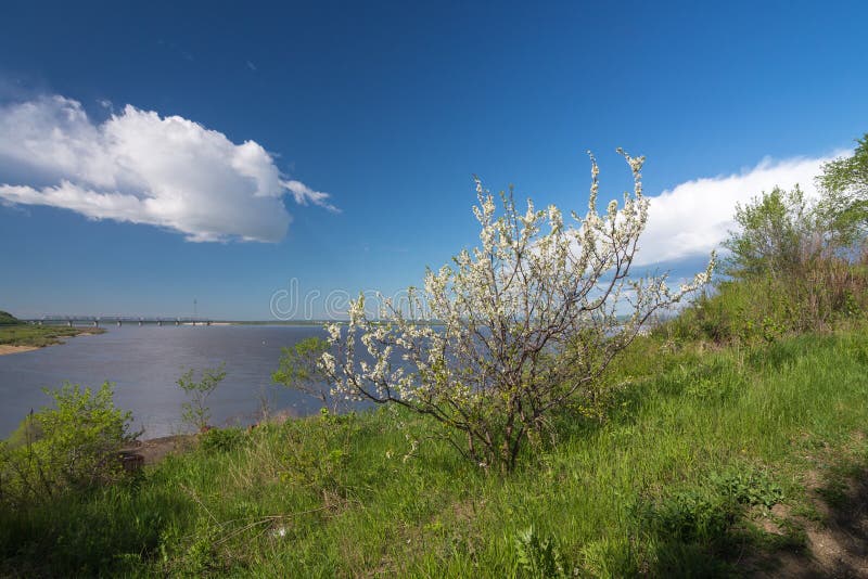 The Amur river. stock photo. Image of coast, real, outdoor - 55141422