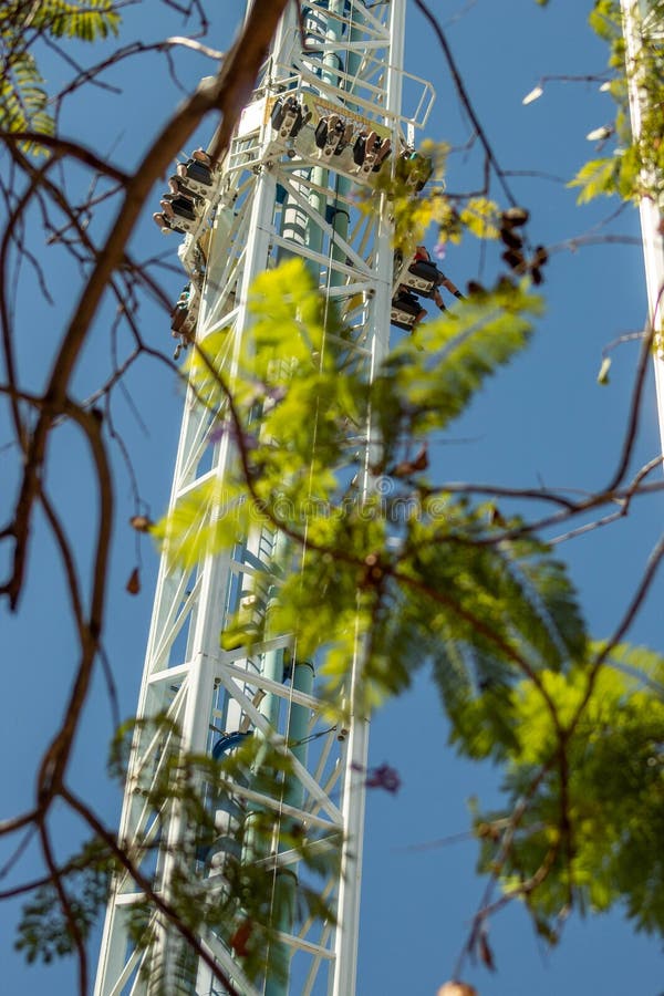 Amusement Park Ride Behind Tree Branches and Leaves Stock Photo - Image ...
