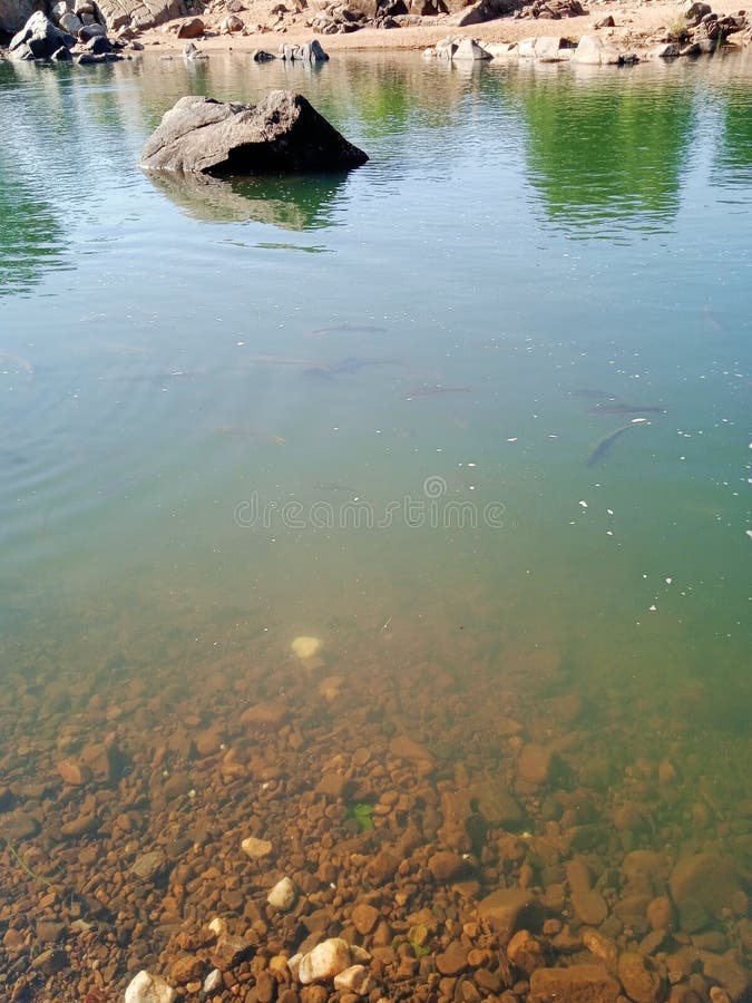Amusement Place and Fish Playing Place Stock Image - Image of reservoir ...