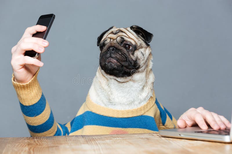 Dog Talking Over Phone Stock Photos - Free & Royalty-Free Stock Photos ...