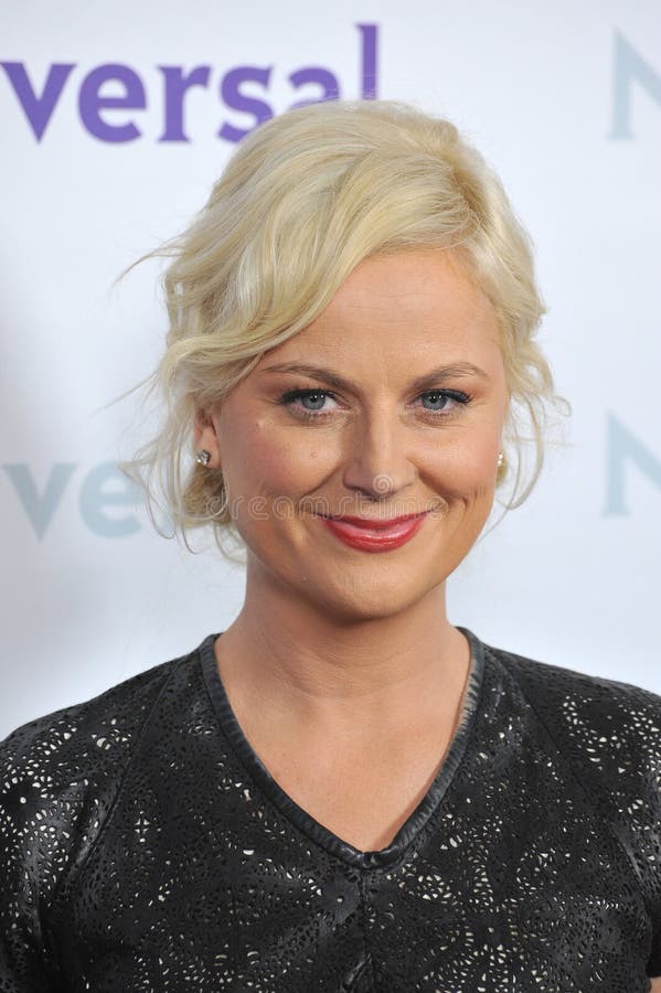 Amy Poehler editorial photo. Image of film, oscars, fashion - 140621211