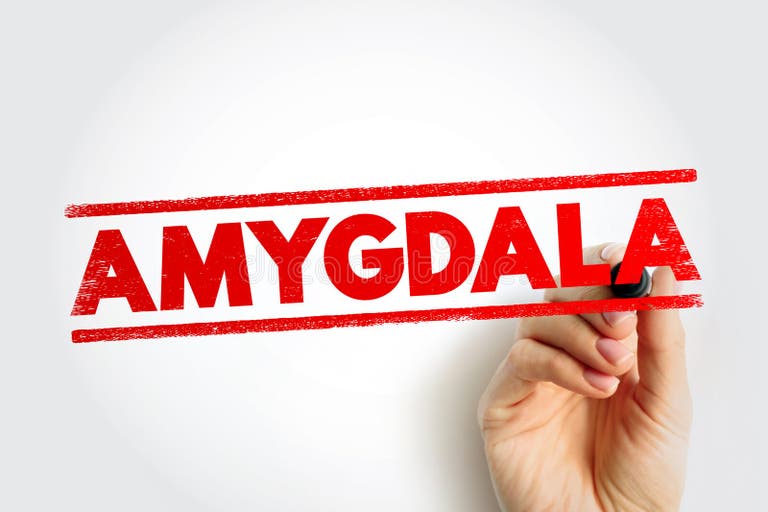 162 Amygdala Characters Stock Photos - Free & Royalty-Free Stock Photos ...