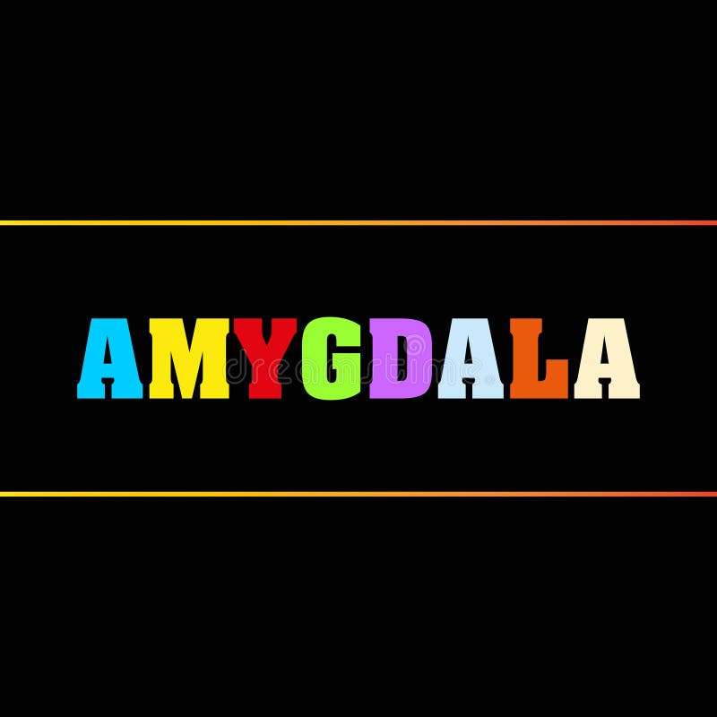 Amygdala Word Stock Illustrations – 14 Amygdala Word Stock ...