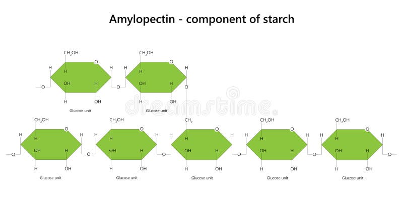 Starch Diagram