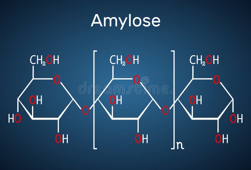 Amylose Molecule. it is a Polysaccharide and One of the Two Components ...