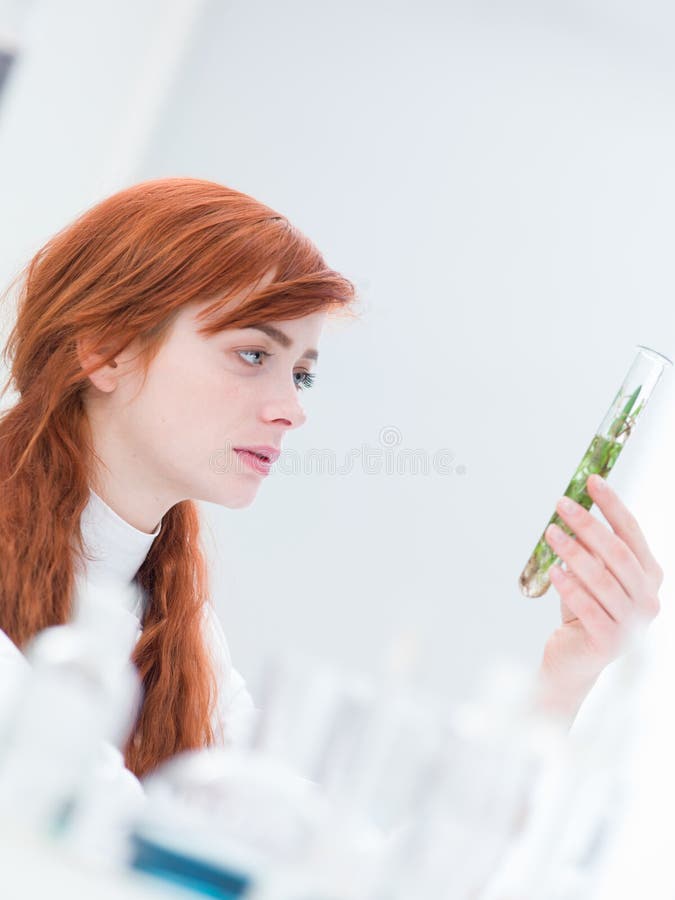 Análise Da Planta Do Laboratório De Química Foto de Stock - Imagem de ...