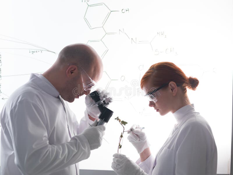 Análise Da Planta Do Laboratório De Química Foto de Stock - Imagem de ...