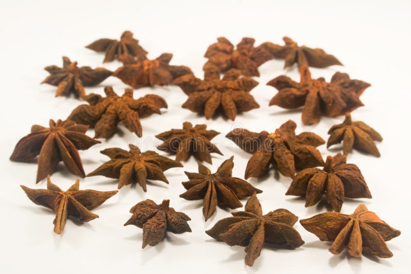 Anís Estrellado O Especia De Anís Foto de archivo - Imagen de frutas ...