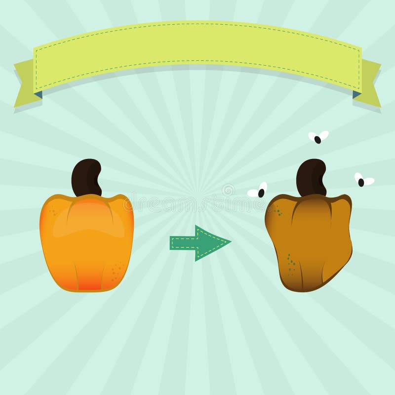 Putrefacto Ilustraciones Stock, Vectores, Y Clipart – (3,459 ...